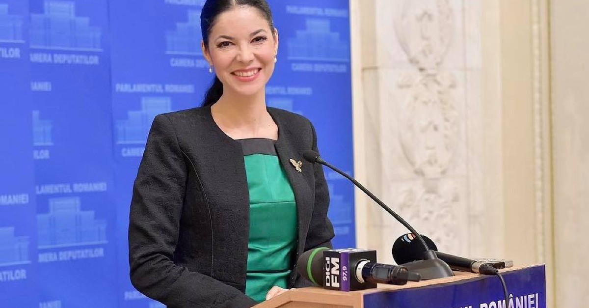 Ana Birchall ia la rost Inspecția Judiciară și CSM. Cele două ...